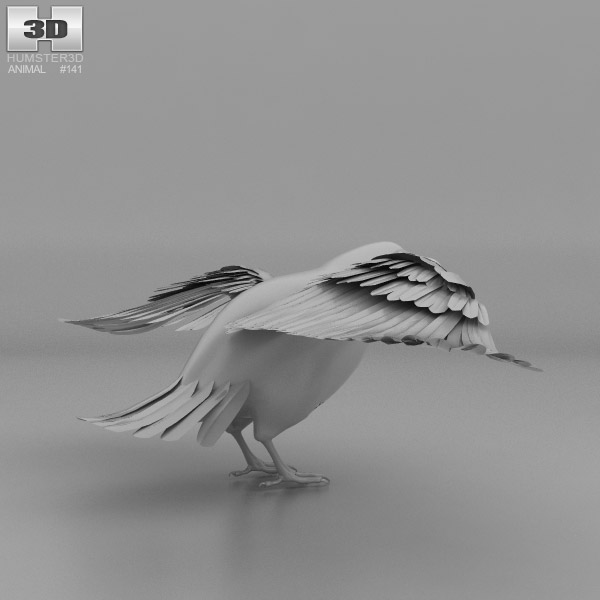 Raven Low Poly 3D model - Download Birds on 3DModels.org