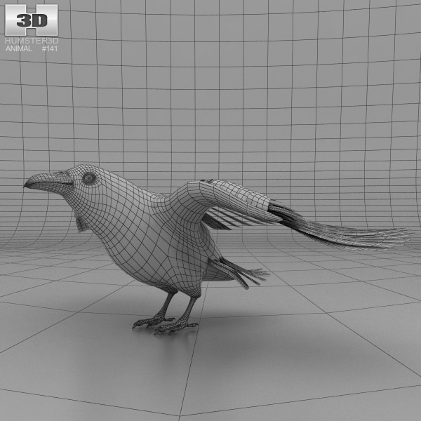 Raven Low Poly 3D model - Download Birds on 3DModels.org
