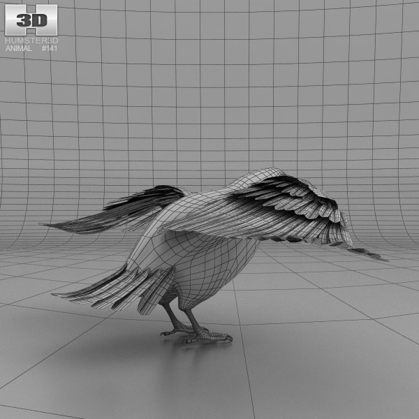 Raven Low Poly 3D model - Download Birds on 3DModels.org