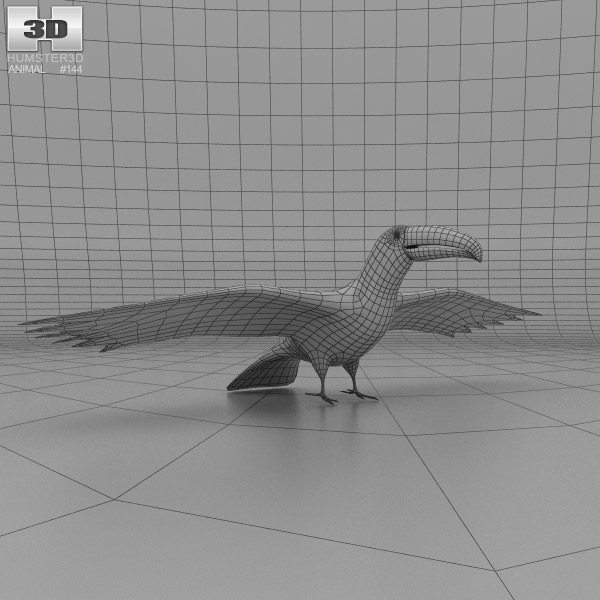 Toucan Low Poly 3D model - Download Birds on 3DModels.org