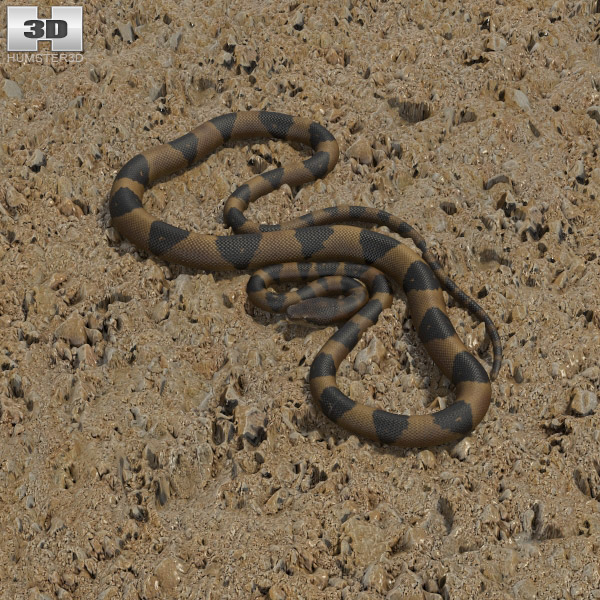 Viper Low Poly 3D model - Download Reptile on 3DModels.org
