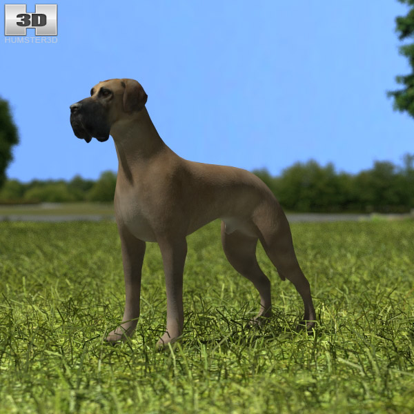 Great Dane Low Poly 3D model - Download Mammals on 3DModels.org