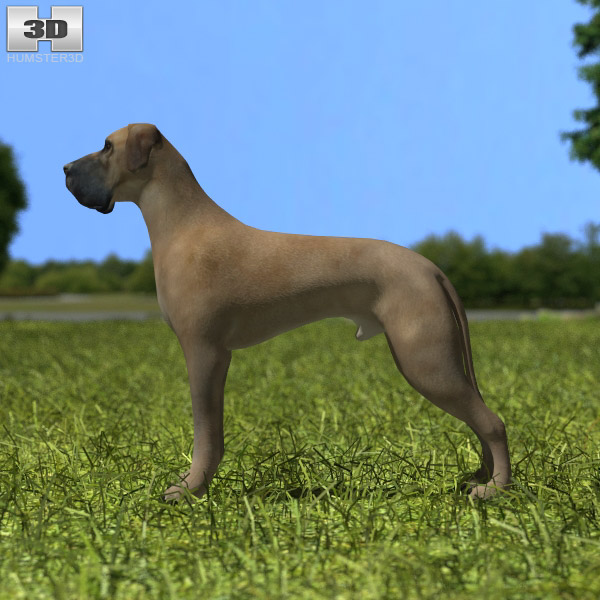 Great Dane Low Poly 3D model - Download Mammals on 3DModels.org