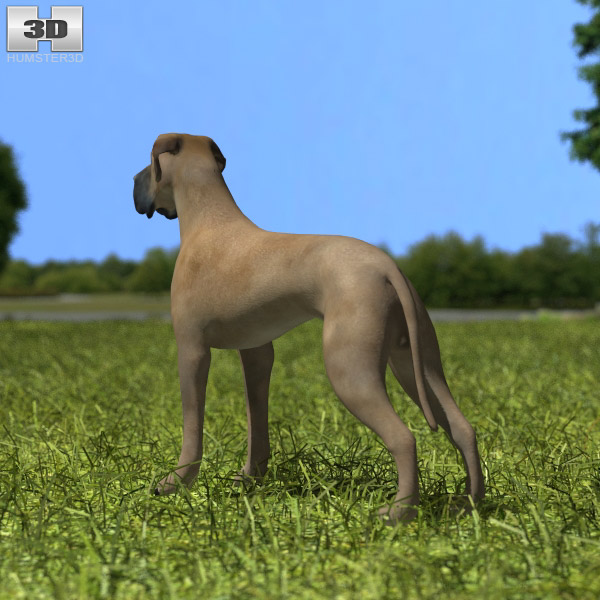 Great Dane Low Poly 3D model - Download Mammals on 3DModels.org