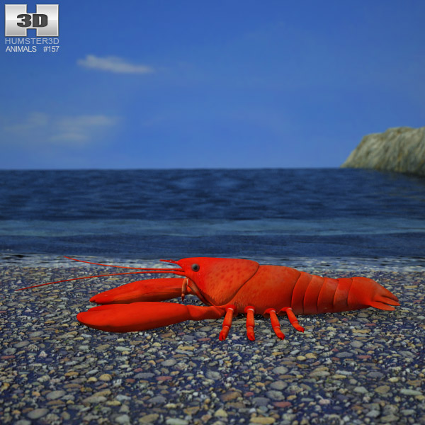 Lobster Low Poly 3Dモデル - ダウンロード 節足動物 on 3DModels.org