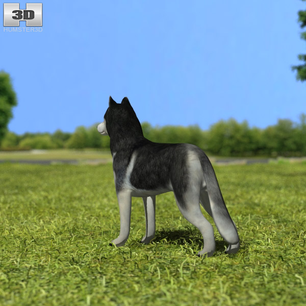 Siberian Husky Low Poly 3D model - Download Mammals on 3DModels.org