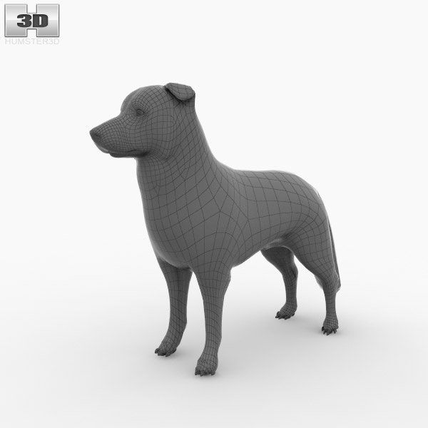 Border Collie Low Poly 3D model - Download Mammals on 3DModels.org