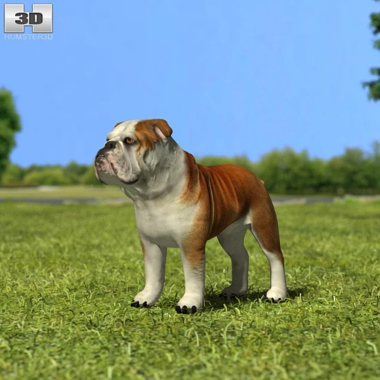 Bulldog Modelos 3D Descargar - 3DModels.org