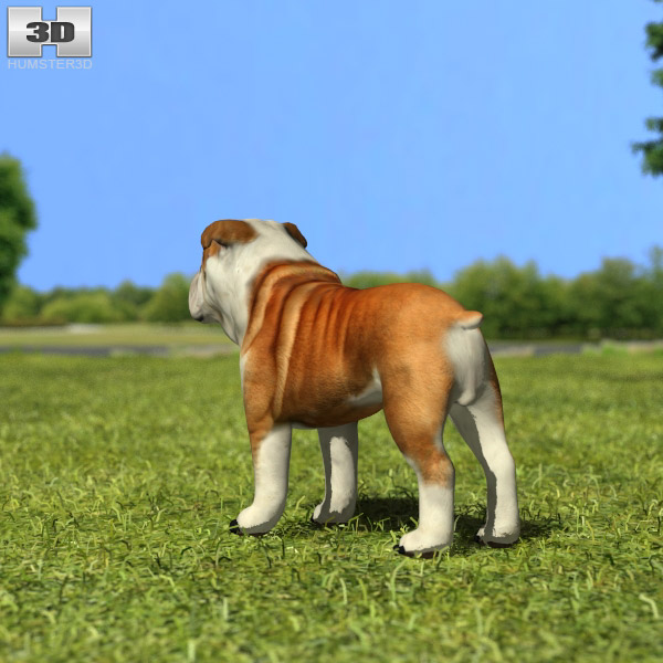 Bulldog Low Poly 3D model - Download Mammals on 3DModels.org