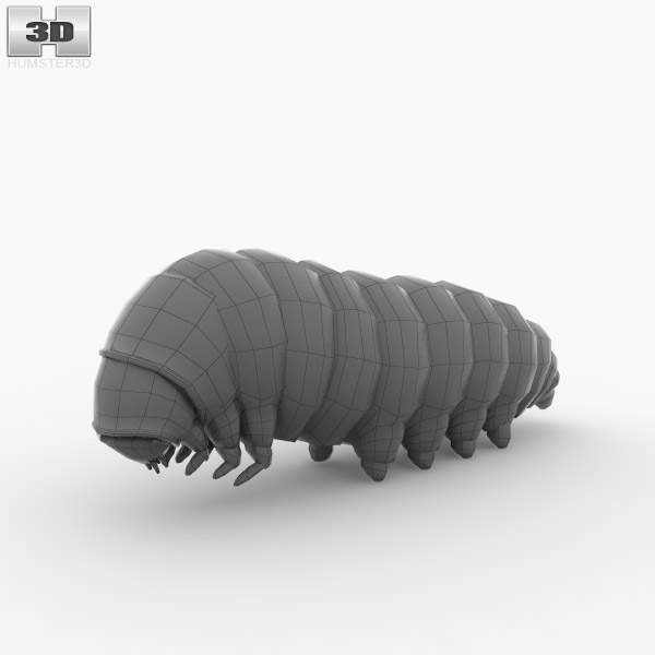 Caterpillar Low Poly 3D 모델 - 다운로드 곤충 on 3DModels.org