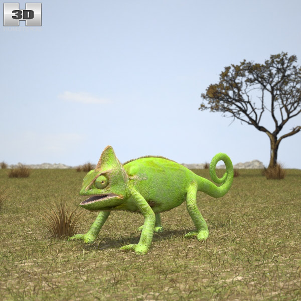 Chameleon Low Poly 3D model - Download Reptile on 3DModels.org