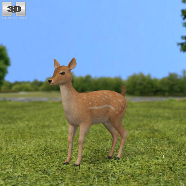 Fawn Low Poly 3D model - Download Mammals on 3DModels.org