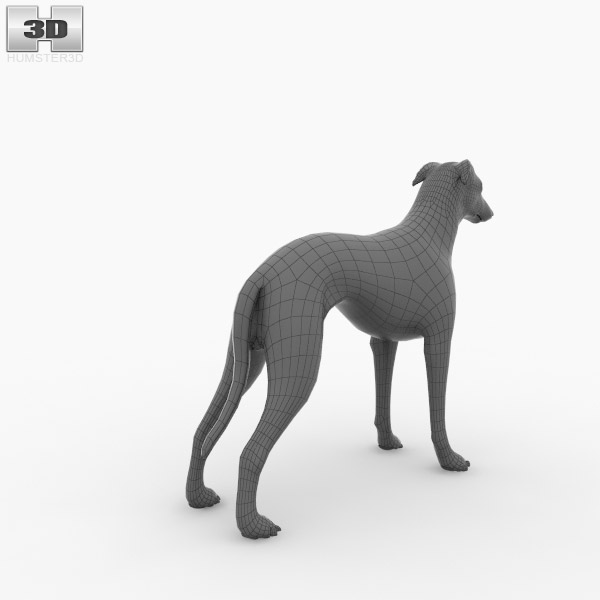 Greyhound Low Poly 3D model - Download Mammals on 3DModels.org