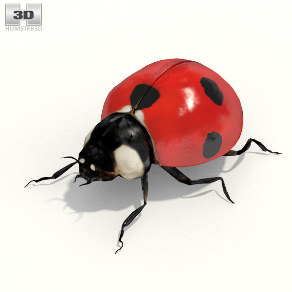 Ladybug Low Poly 3D model - Download Insects on 3DModels.org