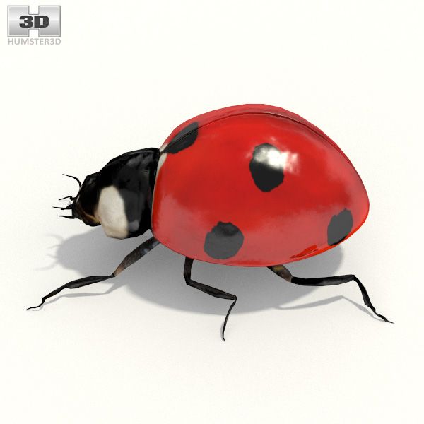 Ladybug Low Poly 3D model - Download Insects on 3DModels.org