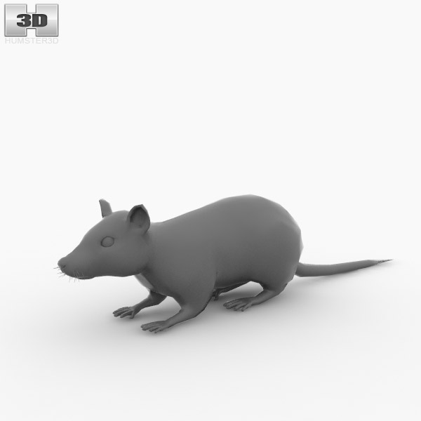 Rata Gris Low Poly Modelo 3D - Descargar Mammalia activado 3DModels.org