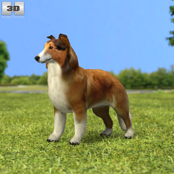 Collie Rough Low Poly Modelo 3D - Descargar Mammalia activado 3DModels.org
