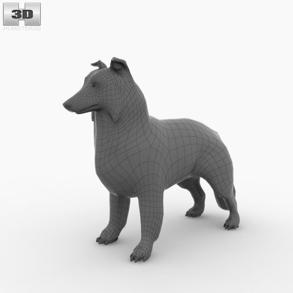 Rough Collie Low Poly 3D 모델 - 다운로드 포유류 on 3DModels.org