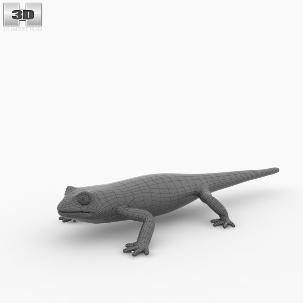 Low Poly Саламандра 3D модель - Скачать Земноводные на 3DModels.org