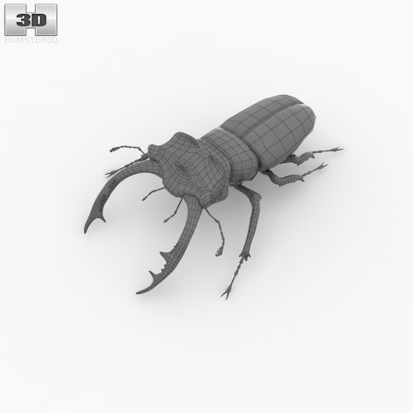 Stag Beetle Low Poly 3D model - Download Insects on 3DModels.org