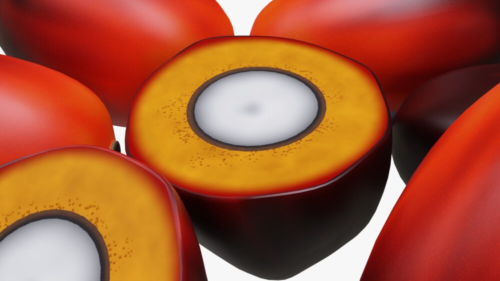 Oil Palm Fruits 3D model - Download Fruit on 3DModels.org
