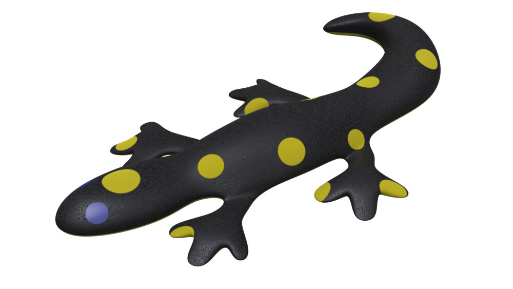 Salamander Toy 3D model - Download Toys on 3DModels.org