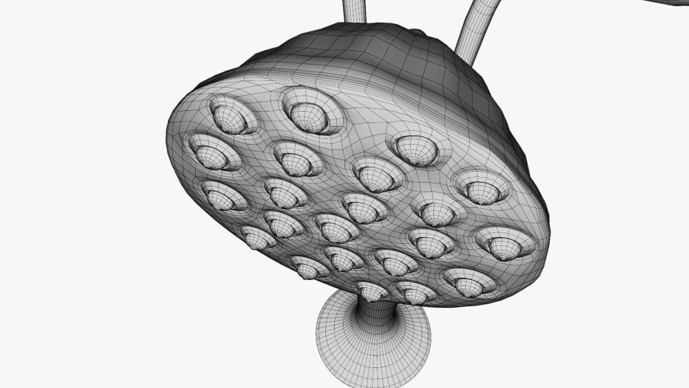 Lotus Seed Pods 3D model - Download Flowers on 3DModels.org