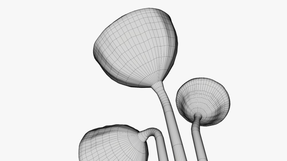 Lotus Seed Pods 3D model - Download Flowers on 3DModels.org