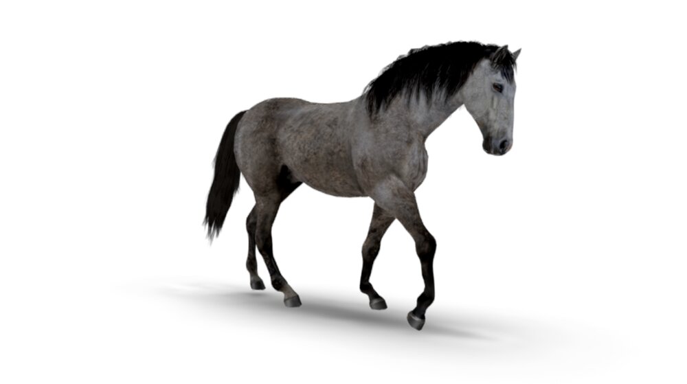 Realistic Animated Gray Horse 3D model - Download Mammals on 3DModels.org