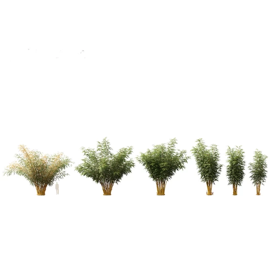 Bamboo 3D Models Download - 3DModels.org
