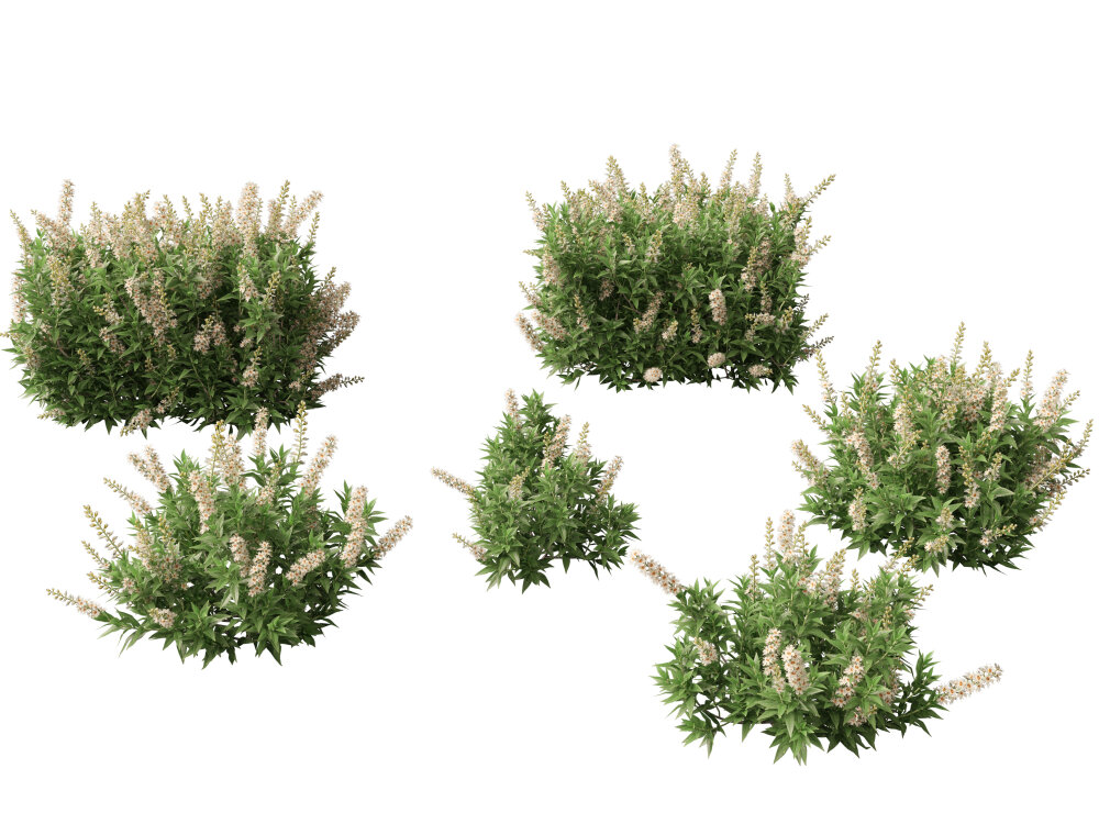 Landscape architecture Modelli 3D Scarica - 3DModels.org
