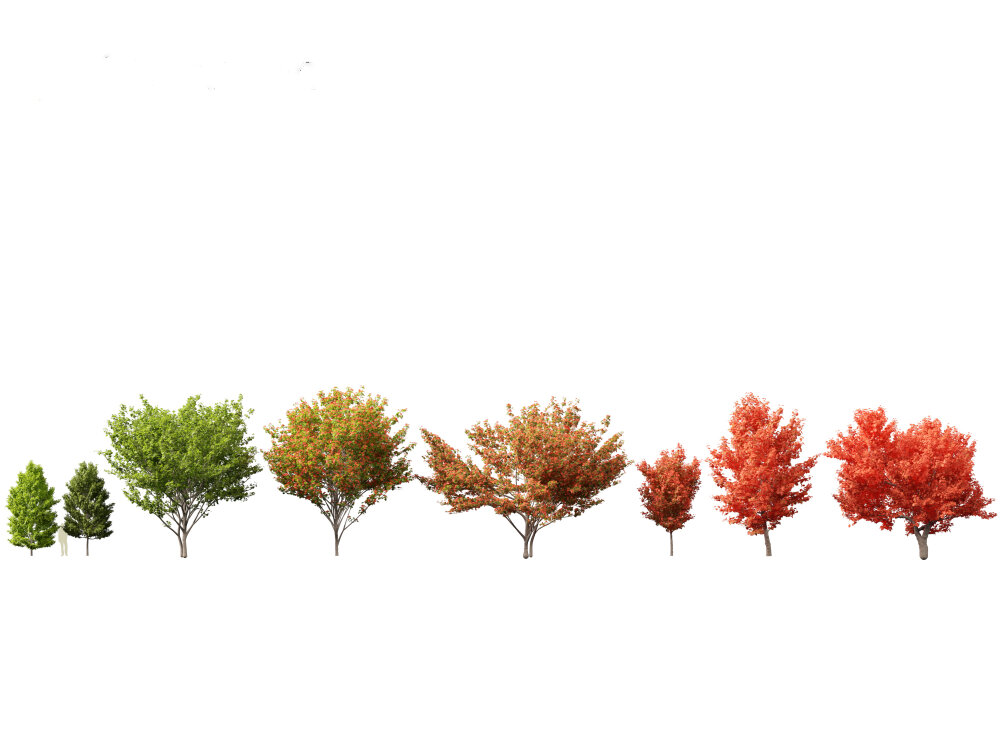 Collection des Arbres aux Couleurs Automnales Modèle 3D - Télécharger ...