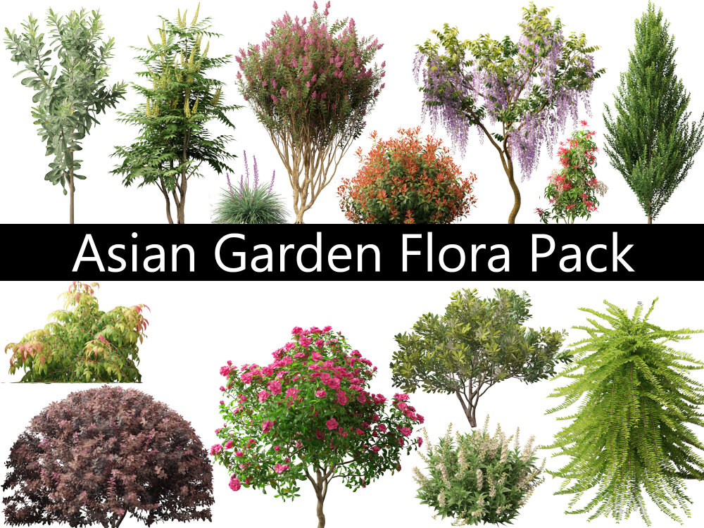 Asian Garden Flora Collection 3D model - Download Trees on 3DModels.org
