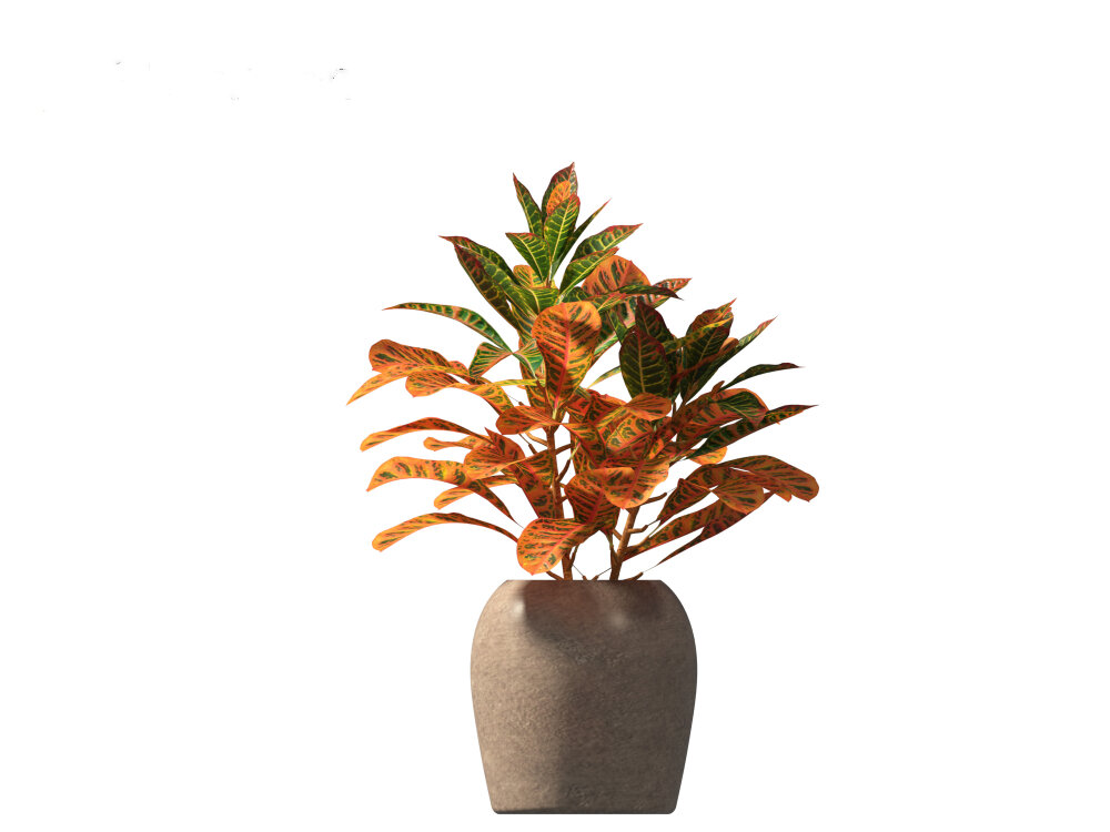 Chic Indoor Potted Plants Collection 3D model - Download Houseplants on ...