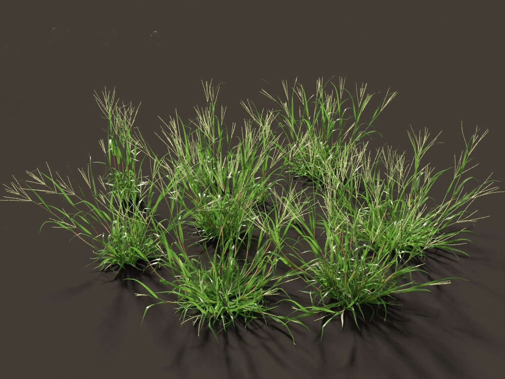 Meadow Grassland Plants Collection 3D model - Download Grass on ...