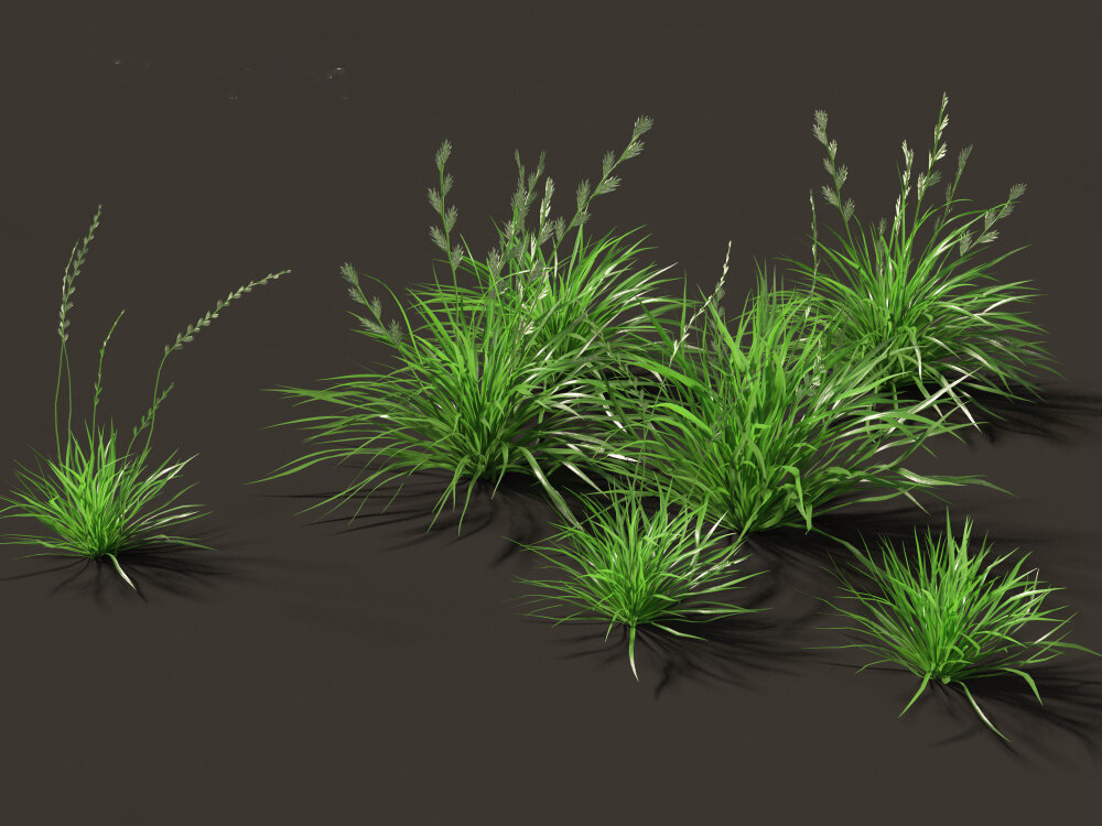 Meadow Grassland Plants Collection 3D model - Download Grass on ...