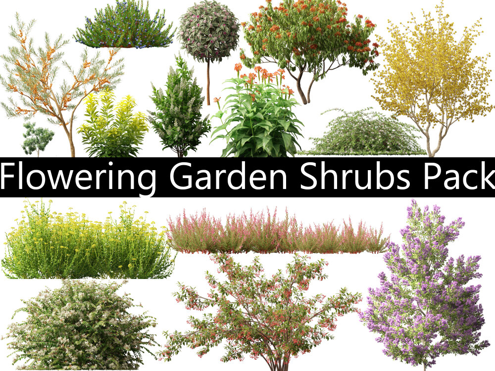Flowering Garden Shrubs Pack 47 3D model - Download Bushes on 3DModels.org