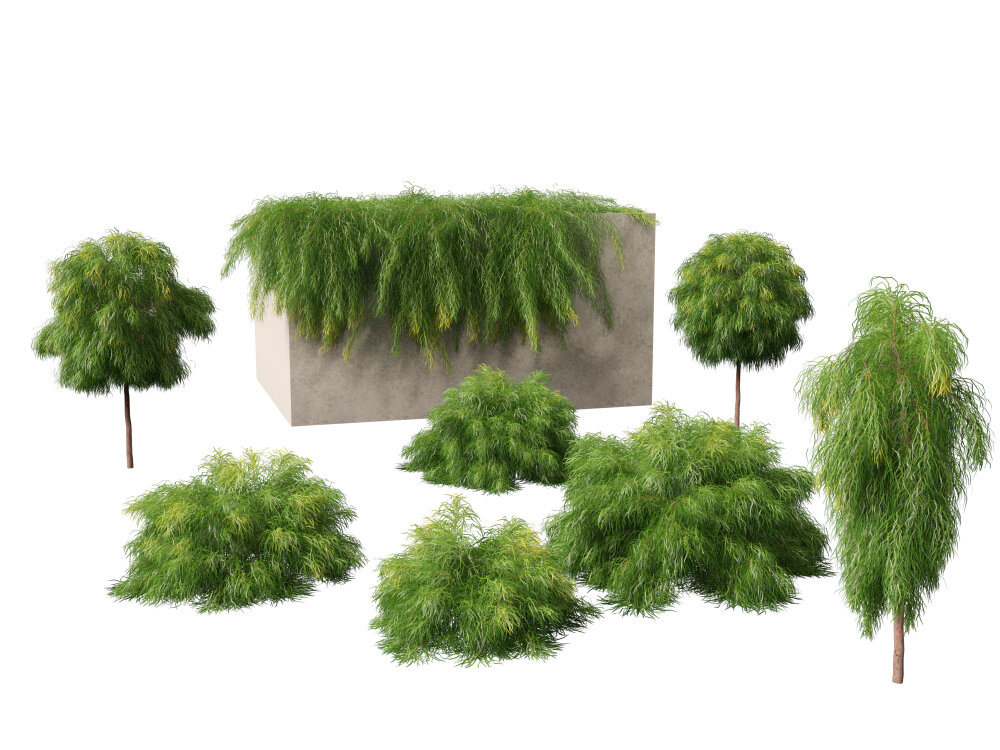 Mediterranean Drought-tolerant Pack 52 3D model - Download Landscapes ...