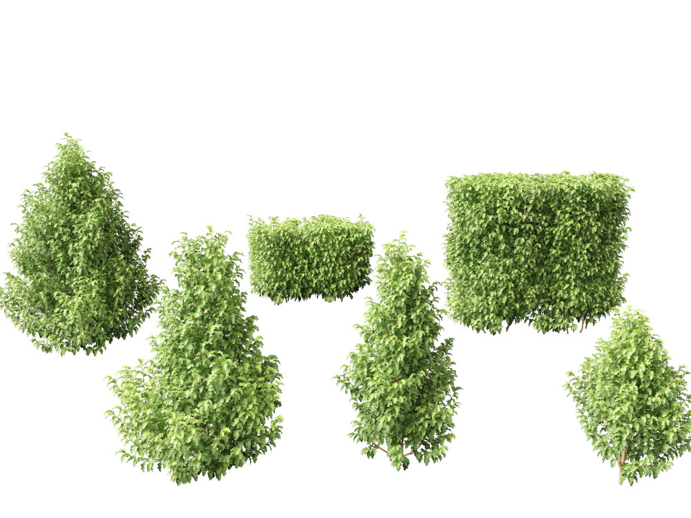 Mediterranean Drought-tolerant Pack 52 3D model - Download Landscapes ...