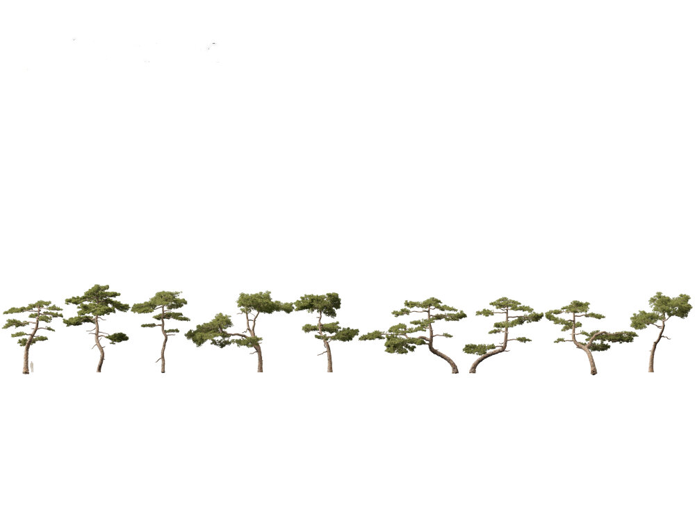Mediterranean Drought-tolerant Pack 52 3D model - Download Landscapes ...