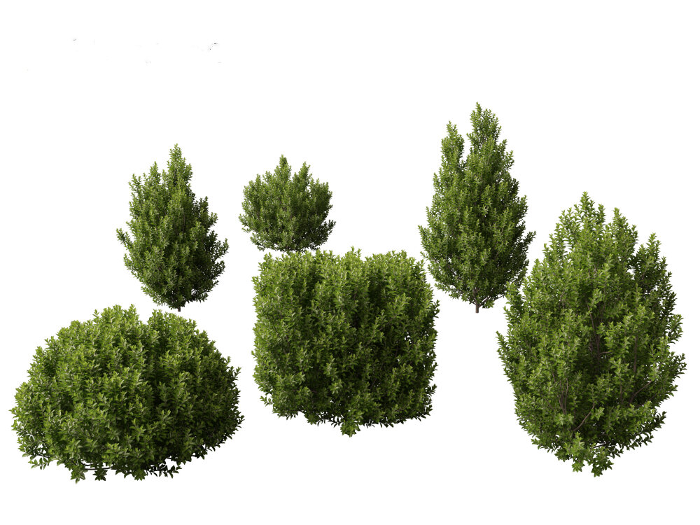 Mediterranean Drought-tolerant Pack 52 3D model - Download Landscapes ...