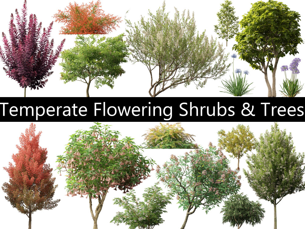 Temperate Flowering Shrubs & Trees Pack 54 3D model - Download Trees on ...