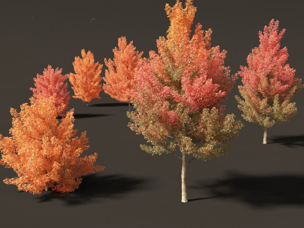Temperate Flowering Shrubs & Trees Pack 54 3D model - Download Trees on ...