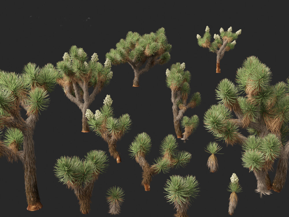 Yucca Brevifolia – Joshua Tree 3D model - Download Bushes on 3DModels.org