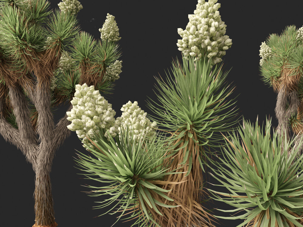 Yucca Brevifolia – Joshua Tree 3D model - Download Bushes on 3DModels.org