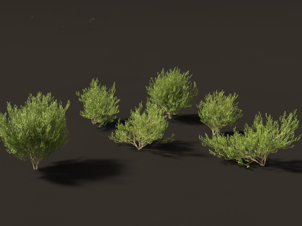 Group of Goat Willow Green Shrubs 3D model - Download Bushes on ...
