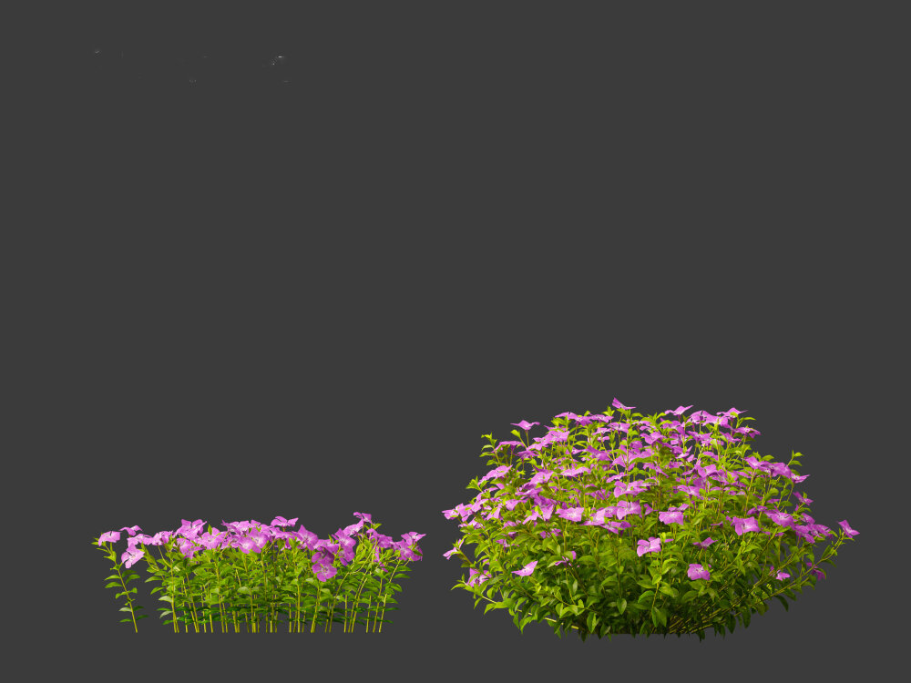 Vinca Minor – Common Periwinkle 3D model - Download Flowers on 3DModels.org