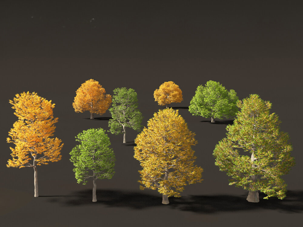 Castanea Dentata – Castaño Americano Modelo 3D - Descargar Árboles on ...