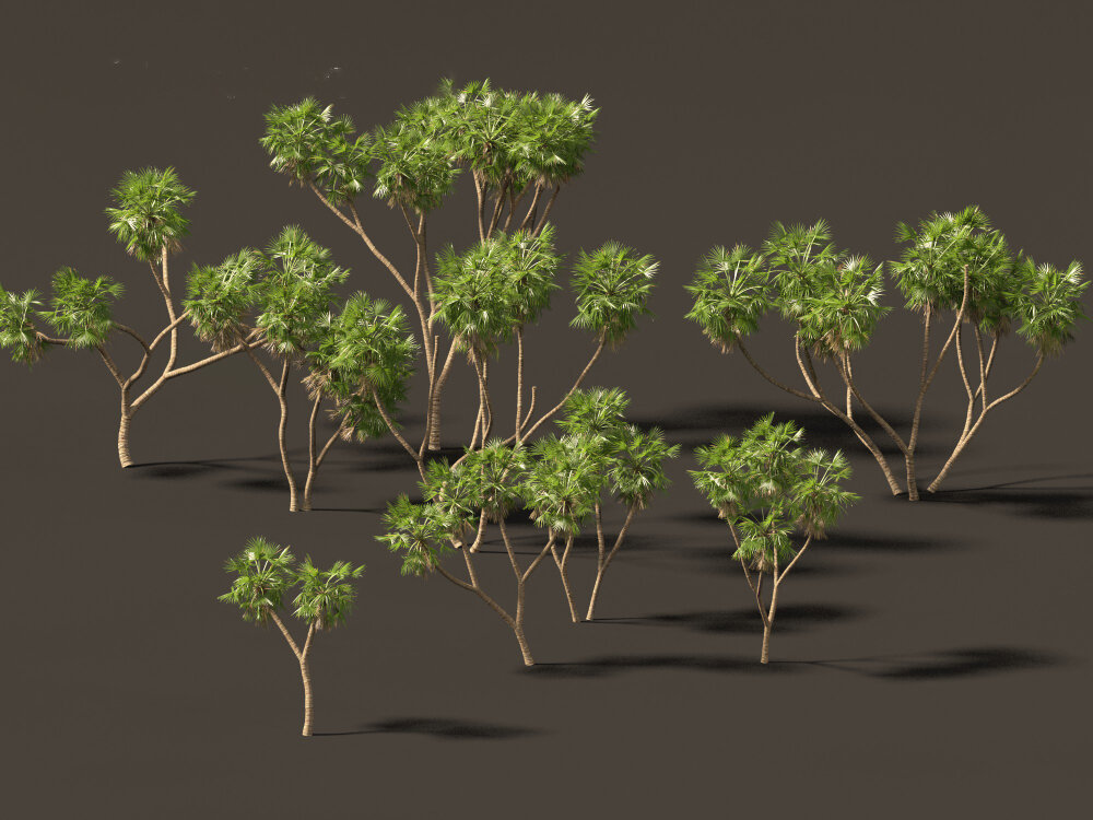 Hyphaene Thebaica – Palmera Dum Modelo 3D - Descargar Árboles on ...