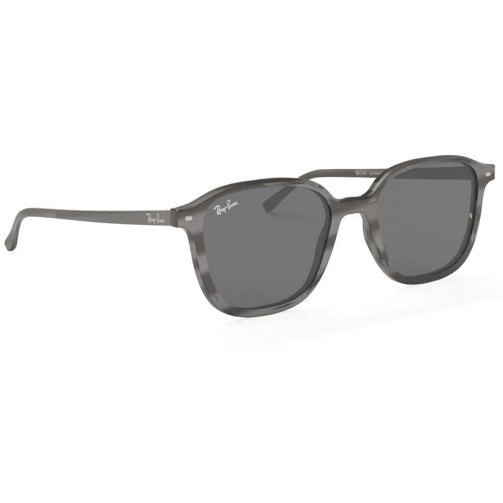 Ray Ban Leonard Non-Polarized Dark Grey Classic Sunglass 3D model ...